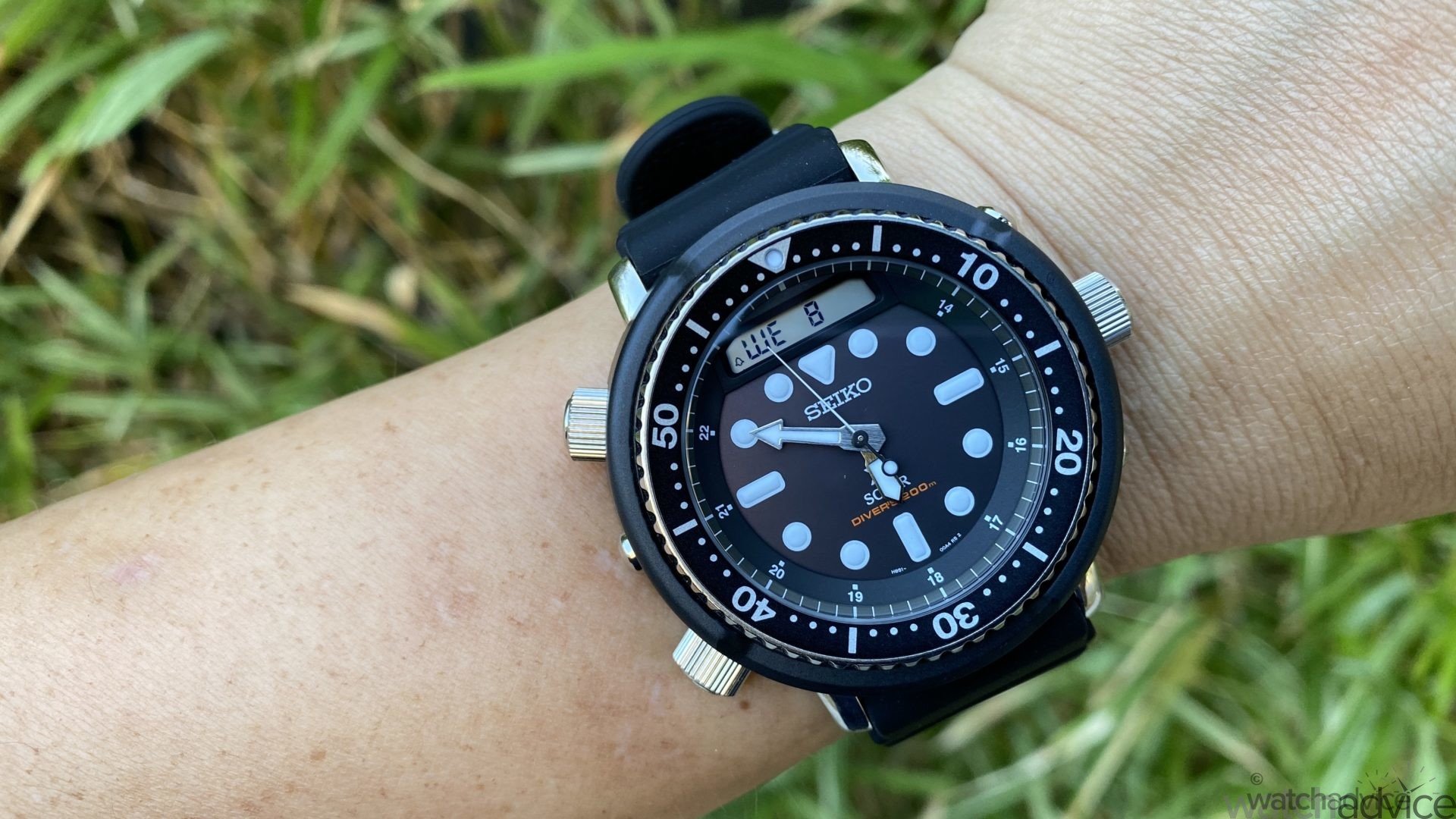 Seiko Prospex SNJ025 – The Arnie - Watch Advice