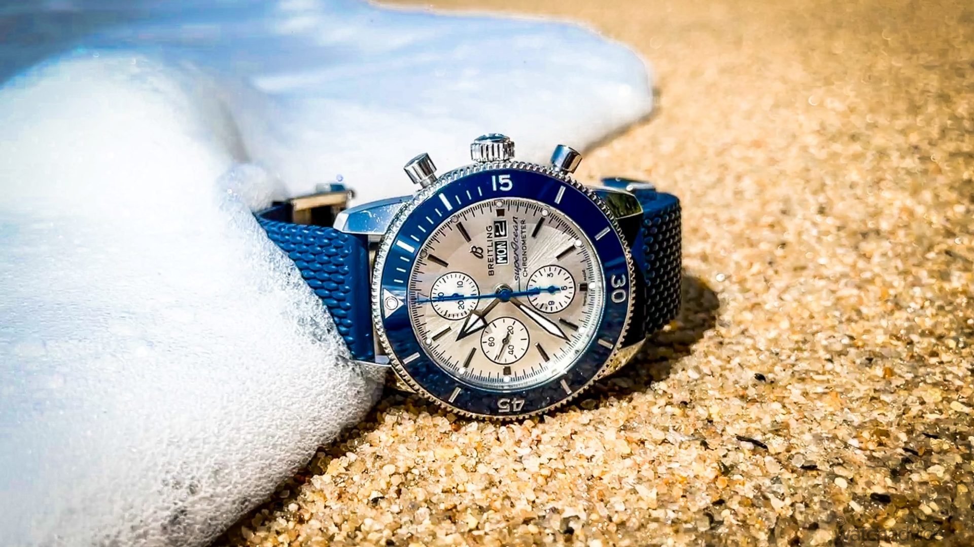 Celebrating Summer - A Selection Of Our Best Summer Pics - Watch Advice