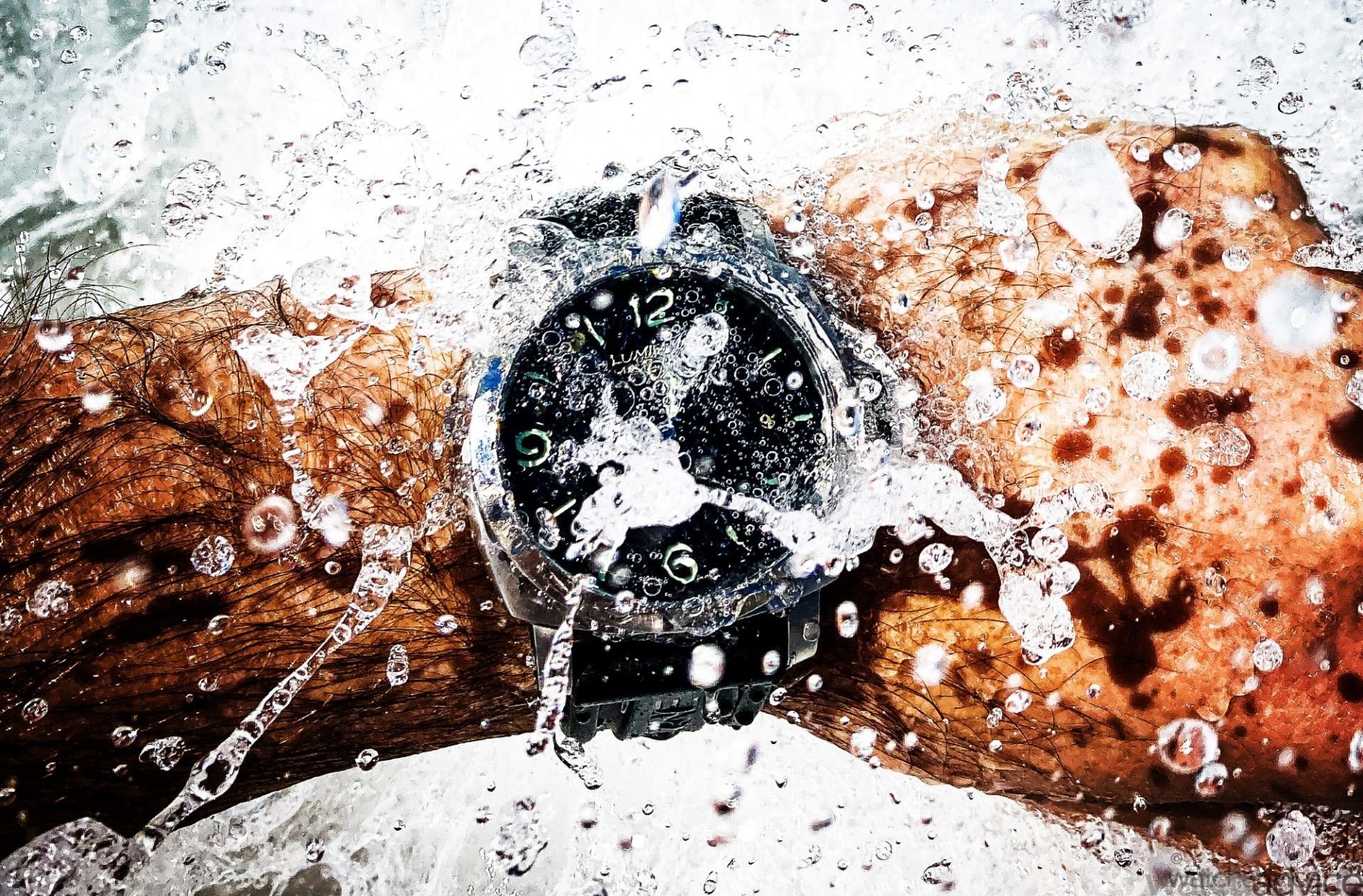 Celebrating Summer - A Selection Of Our Best Summer Pics - Watch Advice