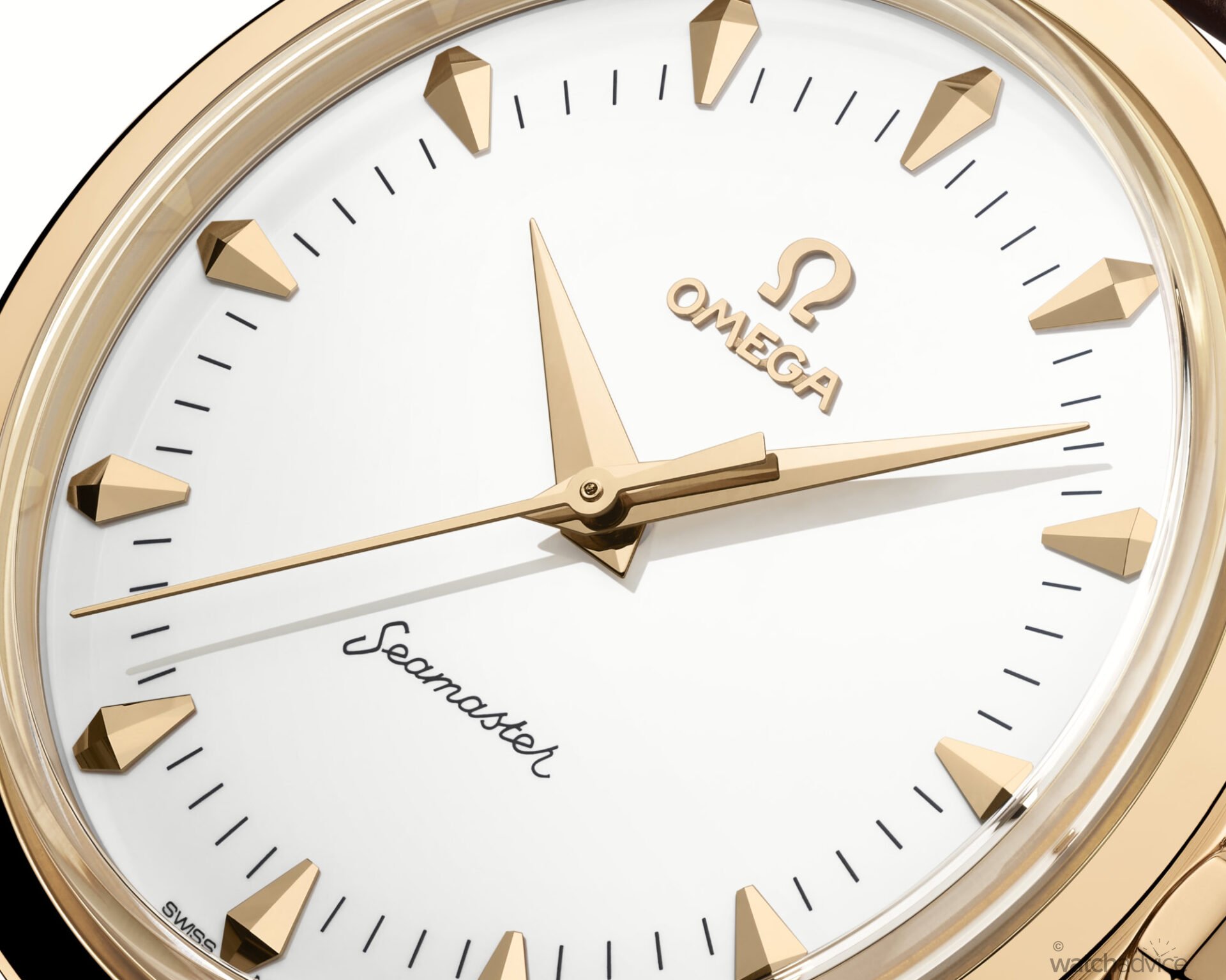 Omega’s New Seamaster Milano Cortina 2026 Is The Gold Standard - Watch ...