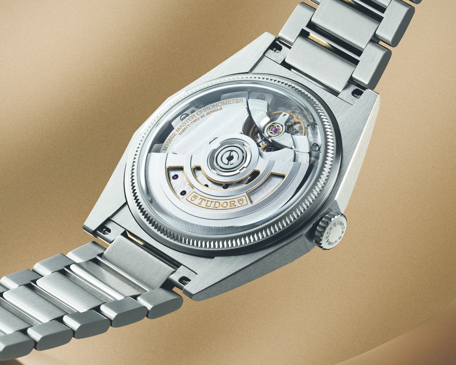 The New Tudor Monarch Spreads Its Wings - Watch Advice