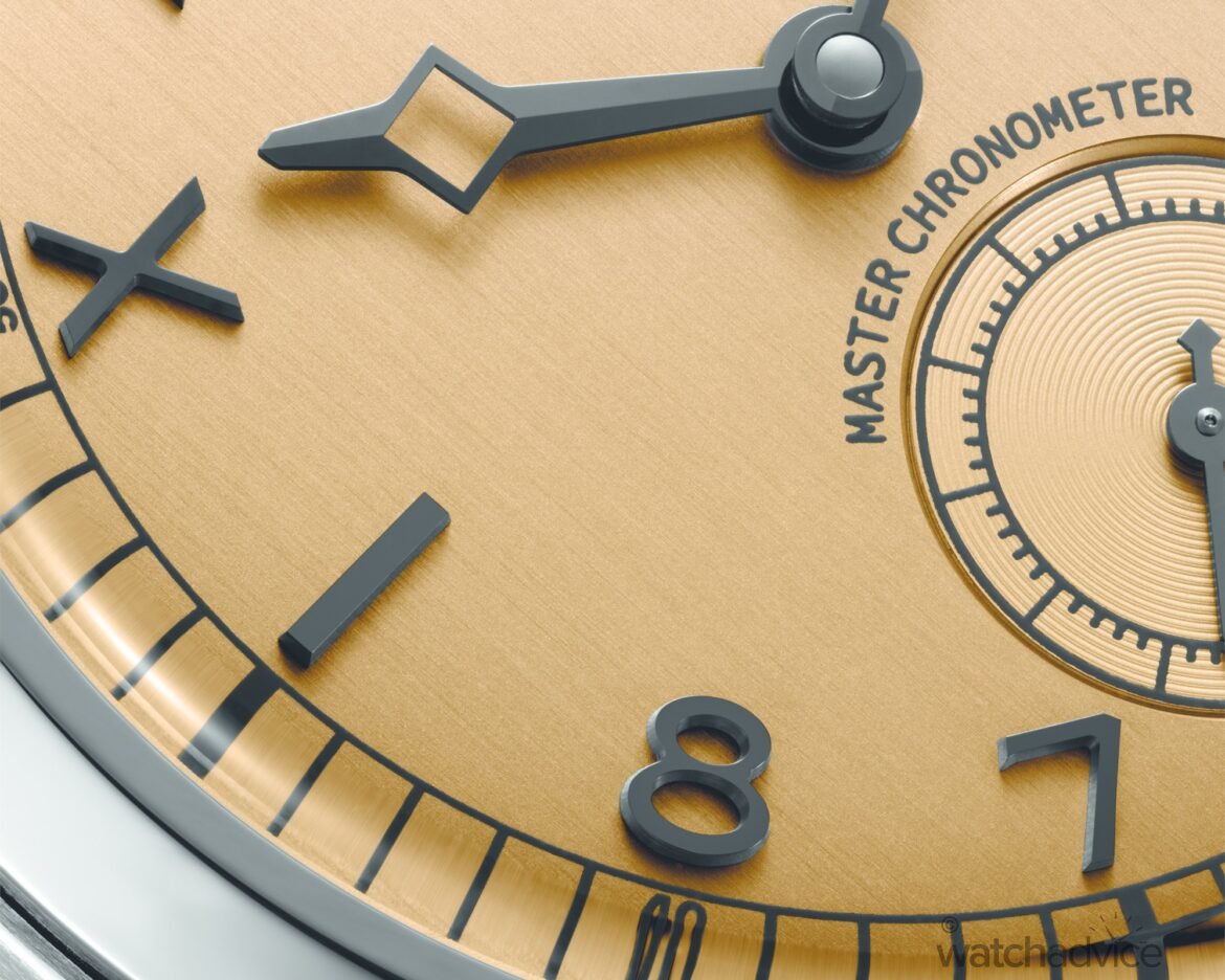 The New Tudor Monarch Spreads Its Wings - Watch Advice